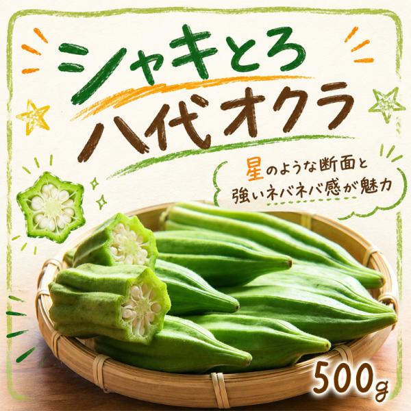 【発送予定】8月下旬以降【1本の重さ・大きさ・形不揃い】【八代オクラって？】・豊岡市八代地区で昔から栽培されている在来種の伝統野菜です。・通常のオクラより大きく肉厚で、八角形以上の多角形です。・やわらかく、粘りが強いのが特徴です。【オススメ...