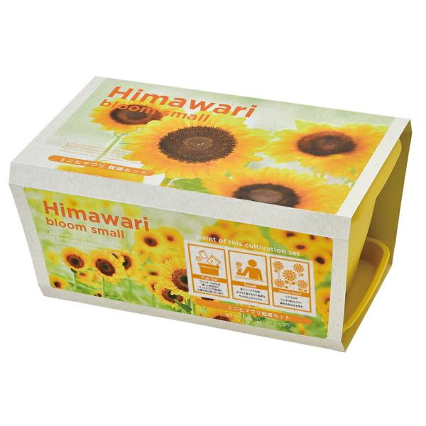 【 ENJOY PLANTER FLOWER エンジョイプランター フラワー ミニヒマワリ プチガーデニング 栽培セット 聖新陶芸 観葉植物 ガーデニング インテリア雑貨 プレゼント ギフト】たっぷりと2Lの土が入るカラープランターで育てる...