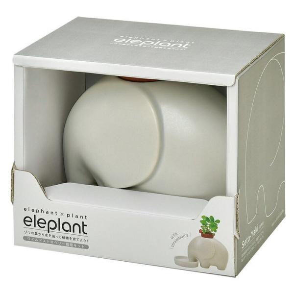 【 エレプラント ホワイト ワイルドストロベリー 瀬戸焼のゾウが水を吸って育てる栽培セット 聖新陶芸 観葉植物 ガーデニング】ゾウの鼻から水を吸って植物を育てる栽培セットです。陶器のゾウは愛知県瀬戸市で作られる瀬戸焼。職人がひとつひとつ丁寧...