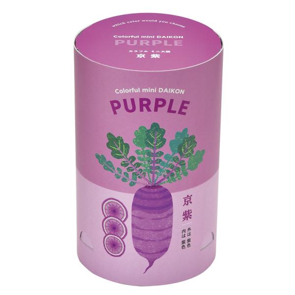 【 聖新陶芸 GD-99401 カラフルミニ大根 京紫 植物栽培セット 母の日 父の日 ギフト プレゼント 景品 学習教材】彩り豊かなミニ大根を育てます。切ったときの断面もお楽しみに！秋冬は樹木も春も落ちて、寂しい風景になりがちな季節…カラ...