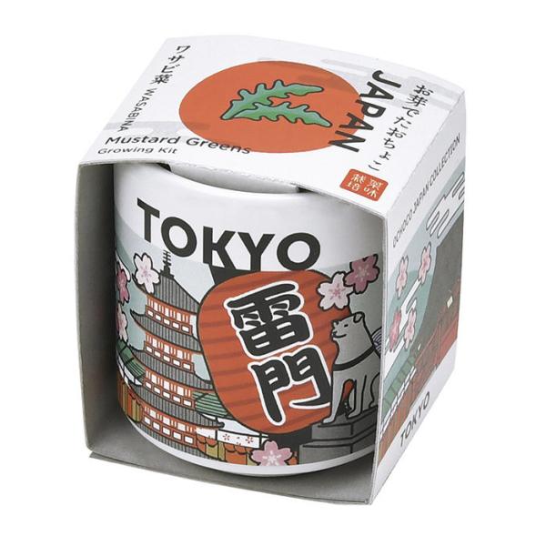 【 聖新陶芸 GD-99702 お芽でたおちょこ JAPAN 東京 わさび菜 植物栽培セット 母の日 父の日 ギフト プレゼント 景品 学習教材】日本の人気都市をモチーフにしたおちょこで育てる栽培セット。各都市のイメージに合わせた、和食でお...