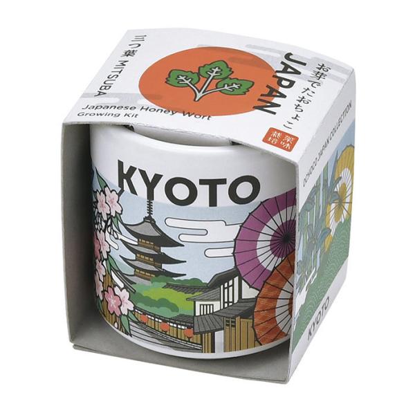 【 聖新陶芸 GD-99703 お芽でたおちょこ JAPAN 京都 三つ葉 植物栽培セット 母の日 父の日 ギフト プレゼント 景品 学習教材】日本の人気都市をモチーフにしたおちょこで育てる栽培セット。各都市のイメージに合わせた、和食でお馴...