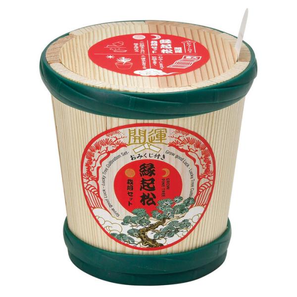 【聖新陶芸 縁起松栽培セット おみくじ付 赤松 GD-1023 ギフト 栽培セット ガーデニング 母の日 父の日】杉の間伐材を利用したミニ樽で種から松を育てます。木の生長になぞらえた内容の開運おみくじ付き。願いを込めたおみくじを種と一緒に土...
