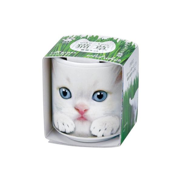 【聖新陶芸 おちょこで猫草 白 GD-102901 栽培セットギフト プレゼント】こちらの商品は、白です。【サイズ】直径4.3cm H4.8cm取扱説明書（日本語／英語）猫が食べることができる「猫草」を育てます。おねだりポーズでご主人を見つ...
