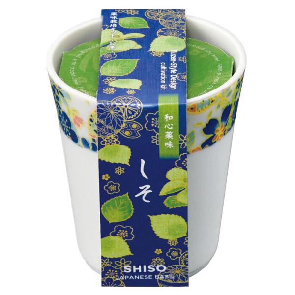 【聖新陶芸 和心薬味 しそ GD-104901 ギフト 栽培セット ガーデニング 母の日 父の日】友禅染めの晴れ着を思わせる華やかな和柄をデザインした陶器製の器で、日本の薬味を育てます。料理の仕上げに和の風味と彩りを添えてくれる薬味植物をお...
