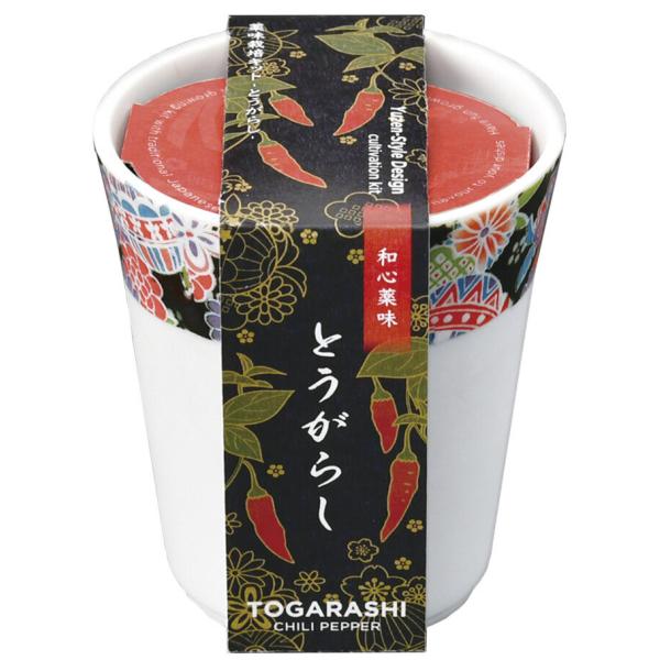 【聖新陶芸 和心薬味 とうがらし GD-104902 ギフト 栽培セット ガーデニング 母の日 父の日】友禅染めの晴れ着を思わせる華やかな和柄をデザインした陶器製の器で、日本の薬味を育てます。料理の仕上げに和の風味と彩りを添えてくれる薬味植...