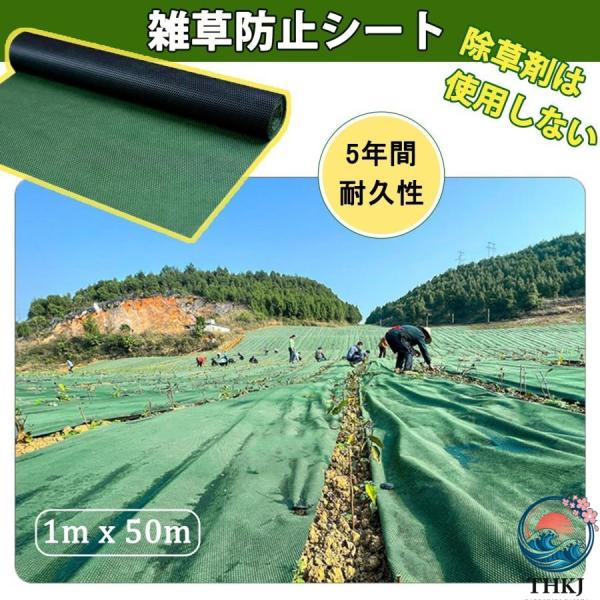 優れた遮光性能：当社の防草シートは、高密度で耐候性のある不織布で作られており、遮光率は最大99.8％です。日光を効果的に遮断し、雑草の光合成を抑制します。除草剤を使用することなく、最も頑固な雑草でも成長が難しくなり、庭や農地をきれいに保つこ...