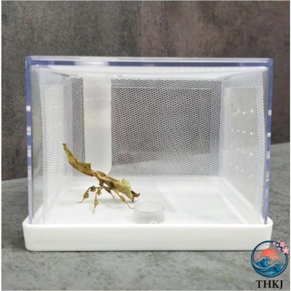カマキリは脱皮するときに逆さまにぶら下がる習性があるため、這う必要があります。 孵化したばかりのカマキリを飼育し、脱皮して成長していく過程を体験できます。高精細な鑑賞体験：飼育箱は高精細なアクリル素材で作られており、前面にガーゼネットがない...
