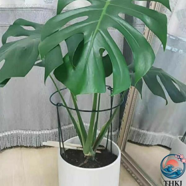 花 ささえ 支柱 植物支柱 ジョイント不要 フラワーガード 園芸用支柱 ガーデニング 園芸用品 植栽 観葉植物 家庭菜園 園芸支柱 植物サポート 支柱 半円形 園芸用