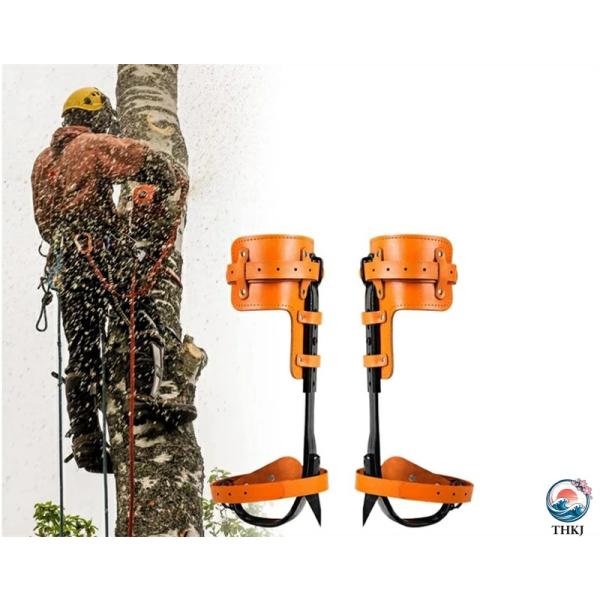 ステンレス鋼構造: ツリー クライミング ネイルは高強度のステンレス鋼でできており、防錆、耐摩耗性があり、220 ポンドに耐えることができ、屋外での長期使用に適しています。その上、爪は鋭く硬いので、木登りを安全かつ効率的に突き刺すことができ...