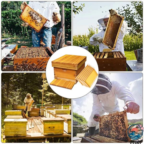 【理想的なツール】養蜂は芸術であり、デラックスビーハイブスターターキットは、養蜂家が最初の蜂のコロニーを始めるための最高の方法です。これにより、ハチミツの採集が楽しくなり、初心者や上級の養蜂家にとって簡単になります。【養蜂製品】養蜂箱網の設...