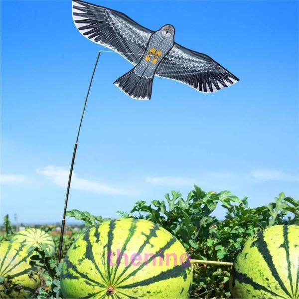 鳥よけ カイト 鷹 (ポール竿付) 軽量丈夫 防鳥具 鳥追い 畑 植物保護 農業用 カイト鷹 1.5m凧 4mポール