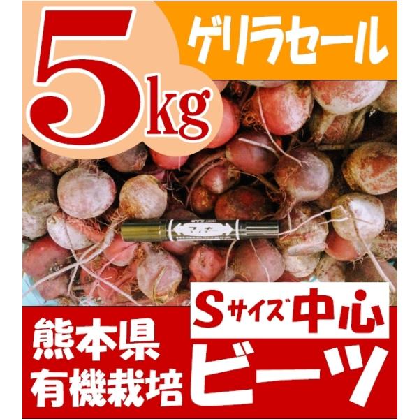 【発売日：2016年07月03日】　熊本県産　有機栽培ビーツ　５kg　(わけありSサイズ）★★★化学肥料・化学農薬は不使用★★★☆発送日は注文順に順次発送致します。<br>　※限定品のため、基本的に着日指定はお断りさせていただい...