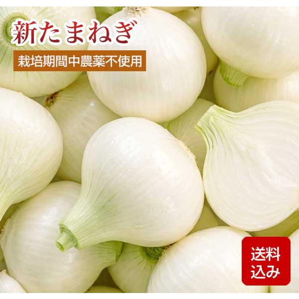 JAS有機基準に沿い、栽培期間中は農薬を使わずに育てたサラダ玉ねぎです。出回るのはわずか約1か月ほどの、春だけの特別な味わいです。一般的な玉ねぎは保存性を高めるために乾燥・熟成させてから出荷されますが、この新たまねぎは完熟前の若い状態で収穫...