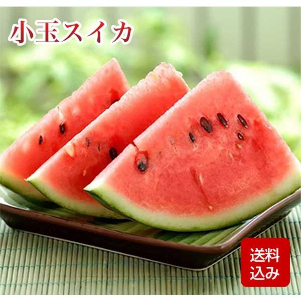 冷蔵庫にもすっぽり入る、ラグビーボールくらいのサイズ感！かわいくて扱いやすい「小玉スイカ」は、暑い季節に大人気です小さいけれど、甘さは大玉スイカに負けません！さらに皮が薄く、皮のキワまでしっかり甘いから、最後のひとくちまでおいしく楽しめます...
