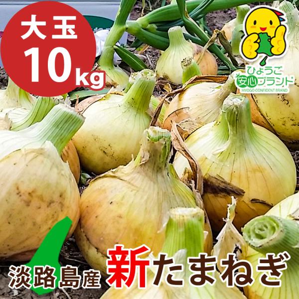 【発売日：2026年03月27日】ひょうご安心ブランドの淡路島産新たまねぎです。特別栽培 有機肥料を使用した玉ねぎです。新たまねぎは2.5kg 5kg箱を推奨しております。新たまねぎは柔らかく傷みやすいため、なるべくお早めにお召し上がりくだ...