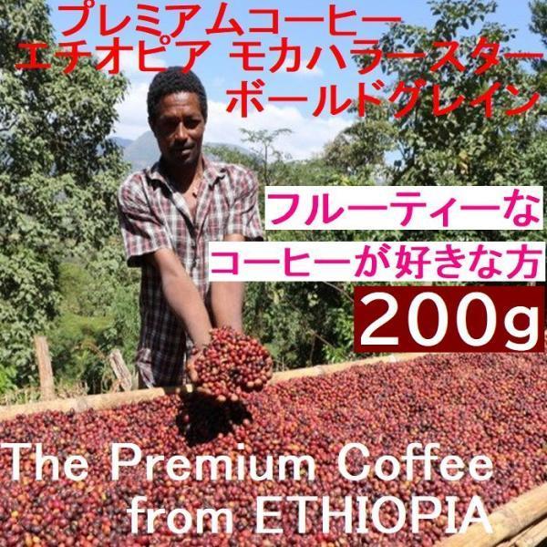 The Premium Coffee from ETHIOPIAとにかくフルーティーが好きな方へおすすめです！！良い酸味と甘味を合わせ持った、心地よいモカフレーバーが特徴です。苦味・・・★　　酸味・・・★★★★　　甘み・・・★★原産国: エ...