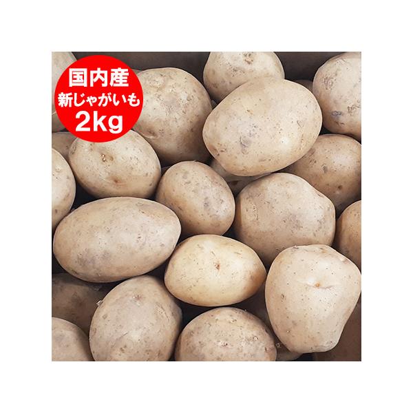 名称：馬鈴薯 国産 じゃがいも内容量：国内産 じゃがいも 2kg規格：ジャガイモ Lサイズ 産地：国内 九州 県産 じゃがいも保存方法：じゃがいも は、ダンボール等に入れ新聞紙などで光が入らないようにして涼しい場所で保管して下さい。(明るい...
