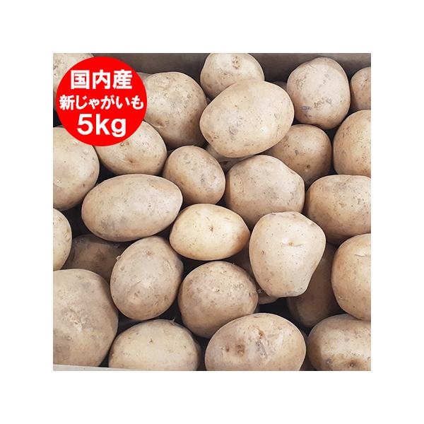 名称：国産 じゃがいも 男爵いも内容量：国内産 じゃがいも 5kg (箱含む総重量)規格：ジャガイモ Lサイズ産地：国内 九州 県産 じゃがいも保存方法：じゃがいも は、ダンボール等に入れ新聞紙などで光が入らないようにして涼しい場所で保管し...