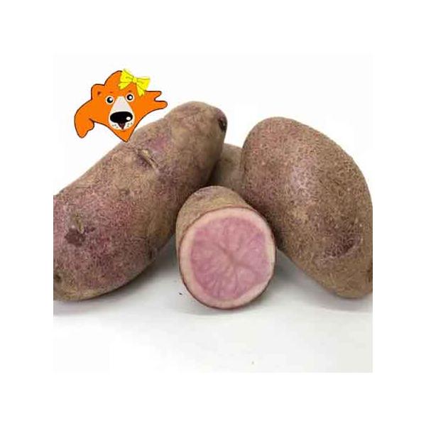 名称：北海道産 じゃがいも ノーザンルビー内容量：ノーザンルビー じゃがいも 10kg (箱含む総重量)規格：ジャガイモ Mから2Lサイズ保存方法：北海道じゃがいも は、ダンボール等に入れ新聞紙などで光が入らないようにして涼しい場所で保管し...