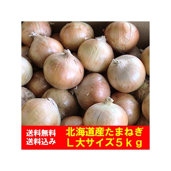 名称： 北海道 玉ねぎ 共撰内容量： 玉ねぎ 5kg (箱含む総重量)規格： たまねぎ L大サイズ保存方法： 玉葱 は、直射日光を避け涼しいところで保管して下さい。産地： 北海道産 富良野 もしくは 北見F1 タマネギ配送区分： 玉ねぎ 5...