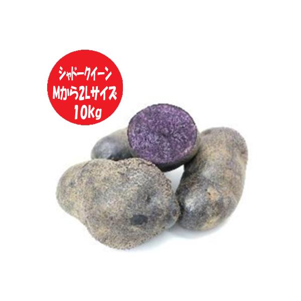 名称：北海道産 じゃがいも シャドークイーン内容量：シャドークイーン じゃがいも 10kg (箱含む総重量)規格： シャドークイーン ジャガイモ Mから2Lサイズ産地：北海道 上川郡 剣淵町産 じゃがいも保存方法：北海道じゃがいも は、ダン...
