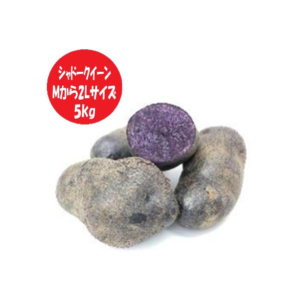 名称：北海道産 じゃがいも シャドークイーン内容量：シャドークイーン じゃがいも 5kg (箱含む総重量)規格： シャドークイーン ジャガイモ Mから2Lサイズ産地：北海道 上川郡 剣淵町産 じゃがいも保存方法：北海道じゃがいも は、ダンボ...
