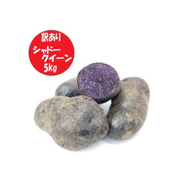 名称：北海道産 じゃがいも シャドークイーン内容量：シャドークイーン じゃがいも 5kg (箱含む総重量)規格： シャドークイーン ジャガイモ SからLサイズ産地：北海道 上川郡 剣淵町産 じゃがいも保存方法：北海道じゃがいも は、ダンボー...
