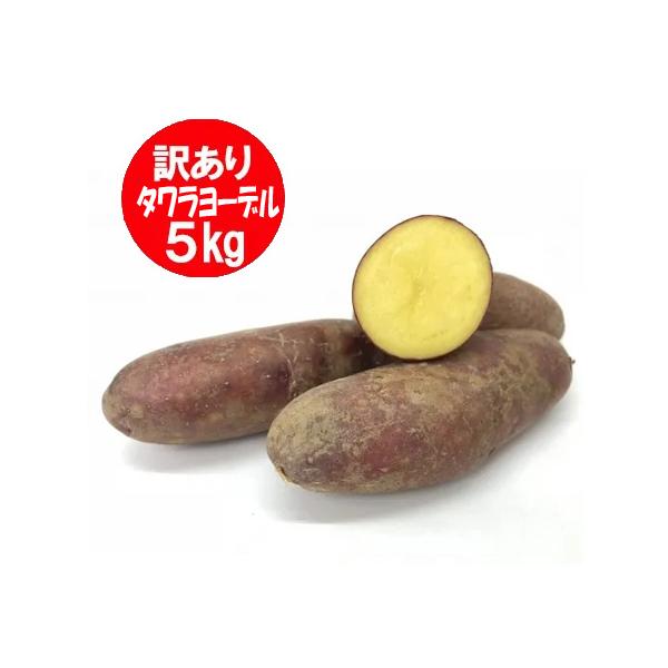 名称：北海道産 じゃがいも タワラヨーデル内容量：タワラ ヨーデル じゃがいも 5kg (箱含む総重量)規格：ジャガイモ Mから2Lサイズ産地：北海道 上川郡 剣淵町産 じゃがいも保存方法：北海道じゃがいも は、ダンボール等に入れ新聞紙など...
