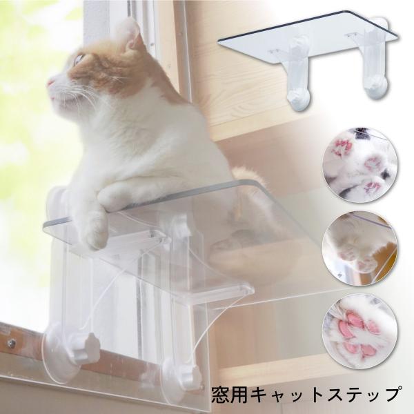 ぷにっとした肉球が見える愛猫の新たな魅力を発見 日向ぼっこ ぼくの特等席
