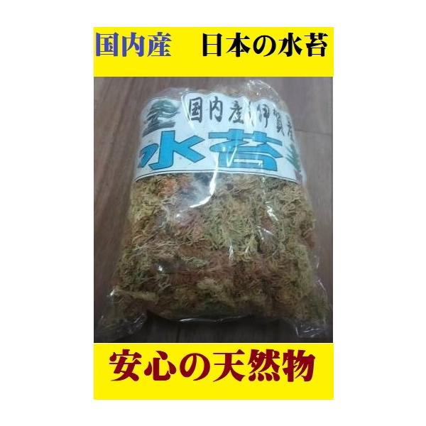 三重県伊賀産！！ 人気の品！！！ 大量購入相談可！！！国産 天然 三重県伊賀産 乾燥水苔約300ｇです。  無農薬。保水性・排水性がバツグンに優れ、観葉植物やラン、山野草の栽培に最適。挿し木、取り木にも使えます。この水苔は三重県の職人が手作...
