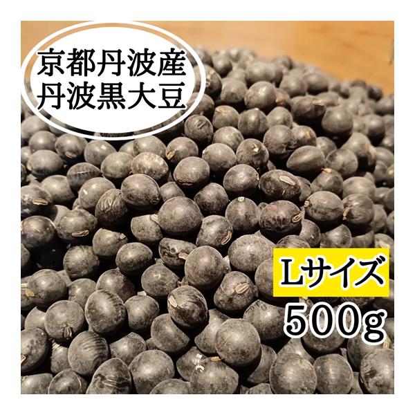 令和７年12月収穫　京都府 京丹波町産　丹波黒大豆 【Lサイズ】500g　農家直送Lサイズ（9.0mm以上〜10.0mm未満）です。黒豆には全国共通の表示サイズがありません。この黒豆は9〜10ミリのフルイにかけています。まれに9mm未満や扁...