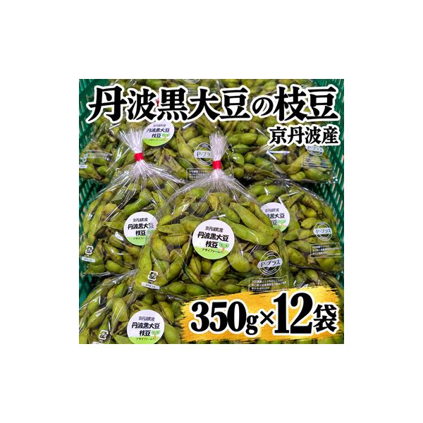 【発売日：2026年10月10日】※発送時期をバリエーションから選択してご注文ください。　(1)10月10日〜14日発送　　(2)10月15日〜19日発送　　(3)10月20日〜26日発送　　(4)【最終便】10月27日頃〜11月5日頃（注...