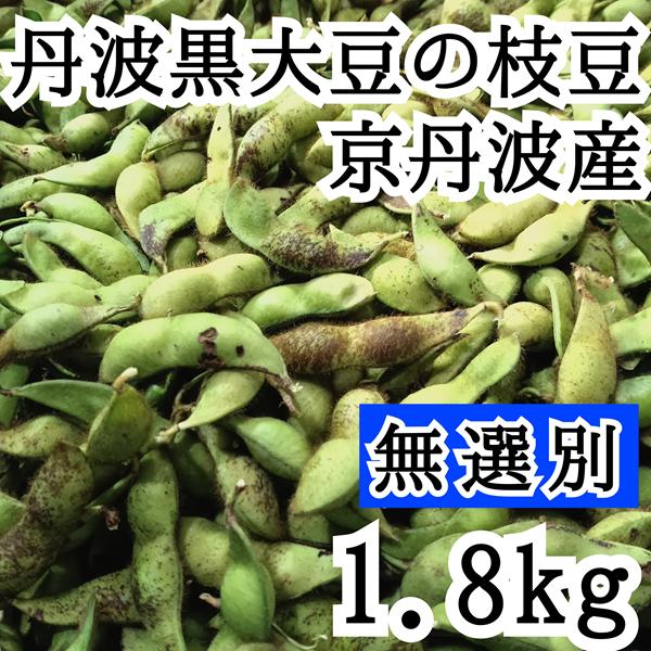 【発売日：2026年10月10日】※発送時期をバリエーションから選択してご注文ください。　(1)10月10日〜14日発送　　(2)10月15日〜19日発送　　(3)10月20日〜26日発送　　(4)【最終便】10月27日頃〜11月5日頃（注...