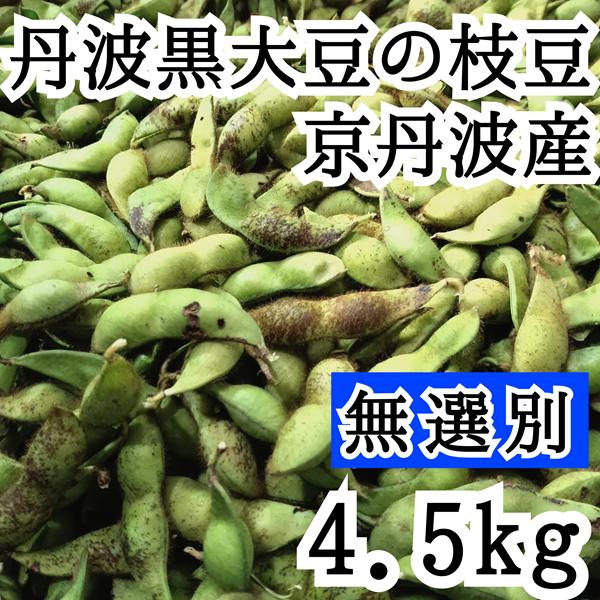 【発売日：2026年10月10日】※発送時期をバリエーションから選択してご注文ください。　(1)10月10日〜14日発送　　(2)10月15日〜19日発送　　(3)10月20日〜26日発送　　(4)【最終便】10月27日頃〜11月5日頃（注...
