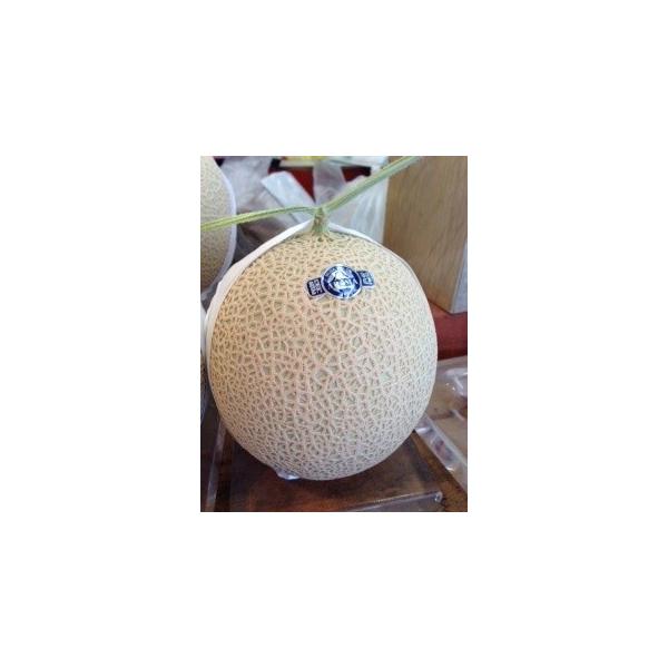 全国有数のメロン産地として名高い靜岡県のマスクメロンは、１本の木に１個だけ育てられます。糖度・質ともにすぐれていて、とろけるような柔らかさと上品な香りがあり、メロンの最高峰といわれています。 マスクメロンにはGABA（ギャバ）正式名称「ガン...