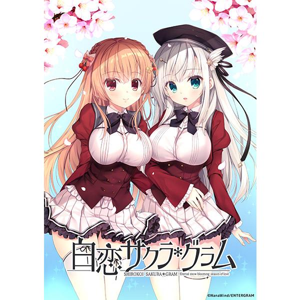 【発売日：2025年09月25日】[1〜2営業日]【43％OFF】＜【NS】白恋サクラグラム［Switch版］＞＜ニンテンドースイッチ(NS)＞＜アドベンチャー＞＜エンターグラム＞【メール便】OK＜好評発売中＞