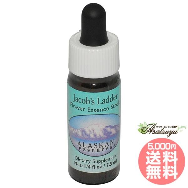 『魂の衝動を受け入れ生きていくように』「導きに従う」。私たちが、頭で人生を計算しコントロールしようとする生き方を卒業し、魂の衝動（またはハイヤーセルフの導き）を受け入れて、流れ・導きに従いながら生きていく生き方に変わっていくように助けてくれ...