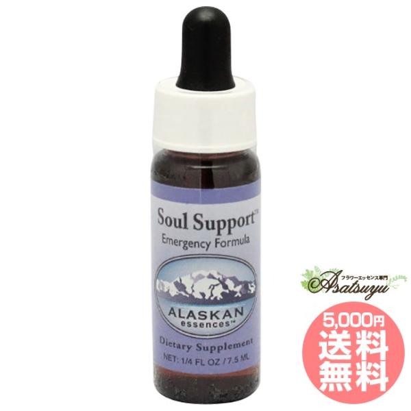 『緊急時ケア。過度のストレスやトラウマ状況時に』このエッセンスは緊急時のケアのためのフォーミュラです。過度のストレスをともなう活動やトラウマ的な状況に使用します。ケガやショック後、感情面での浄化作用が起こっているときや暴力的な爆発が起こって...