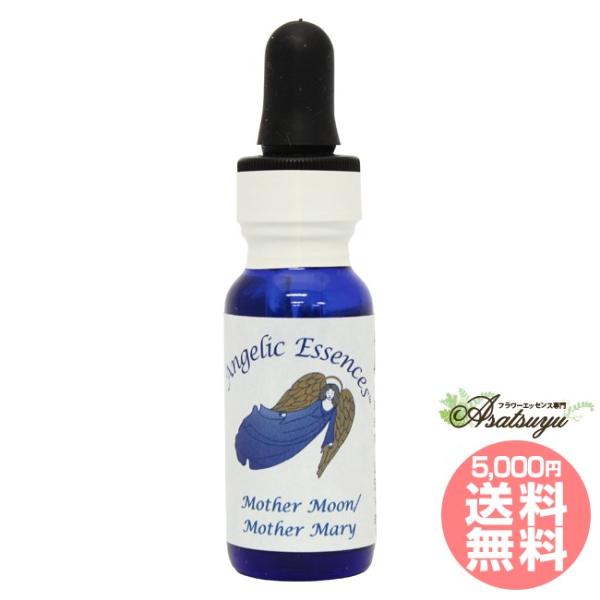 『あるがままに受け入れる深い思いやりと愛をもたらす聖母のエネルギー』■英文This essence is for deep compassion and love， - love of self， of all. Experiences t...