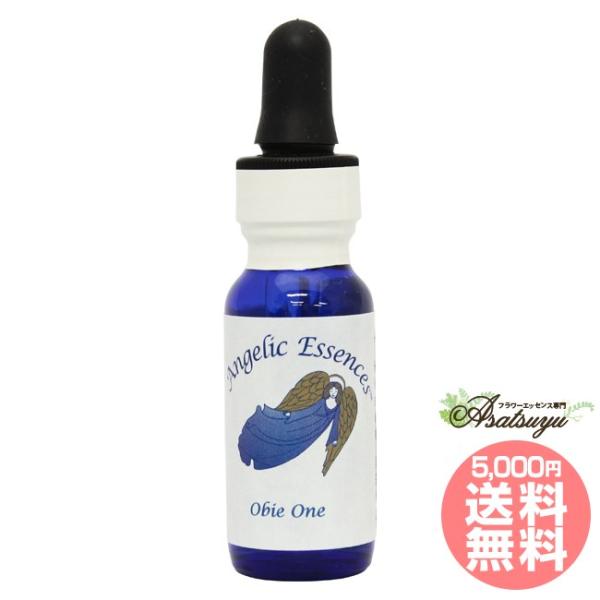 『「すべてがひとつである」という気づき』■英文This essences is for bringing one into the conscious experience of oneness of all. For gaining a ...