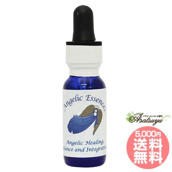『癒しとバランス、統合』■英文This essence is a gift from our Angel friends that assists and compliments all forms of healing. It is pa...