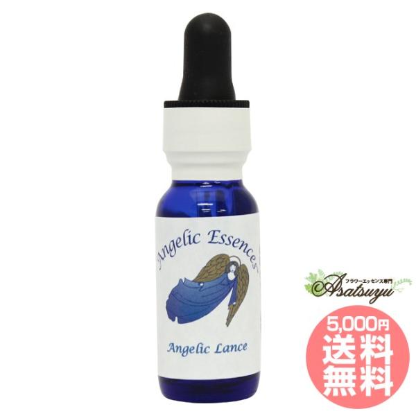 『浄化と調整、古いエネルギーの解放』■英文This is a higher dimensional tool that supports the removal of all that is no longer needed and or ...