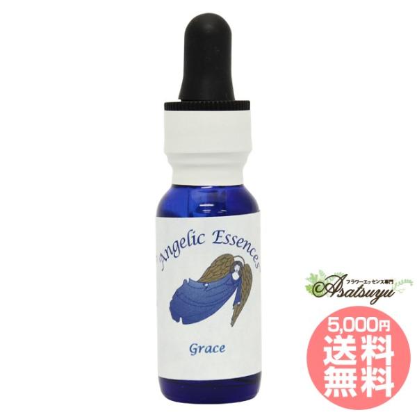 『『みなもと=ソース』からの贈り物、恩寵』■英文Grace is for balancing and harmonizing all energies and brings peace， inner harmony and greater ...