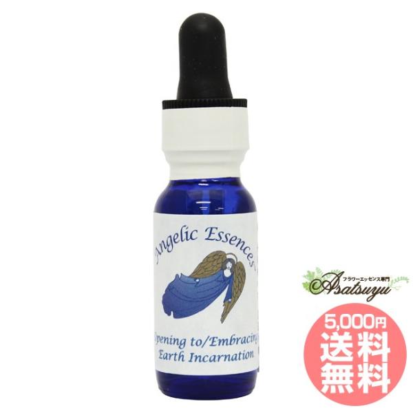 『地球への転生の受け入れ、肉体への抵抗感に』■英文This essences is for people who have difficulty being in physical form. It supports acceptance ...