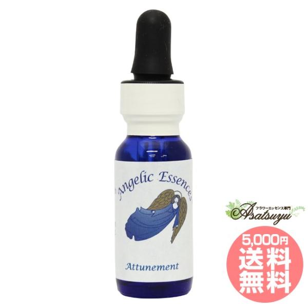 『高い波動に波長を合わせる、明晰な意識と気づき』■英文This essence is for attuning to the highest levels of current conditions and changes in order...