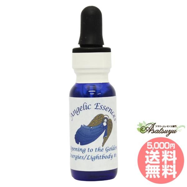 『ライトボディへの移行への準備』■英文Preparing one for embodying their light body by containing all aspects of the initial light body init...