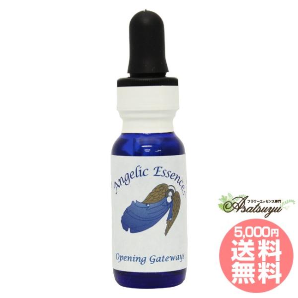 『次のステップへの扉を開き、光で照らす』■英文This essence is for opening the gateways to the heart and mind. It opens and illuminates， raising...