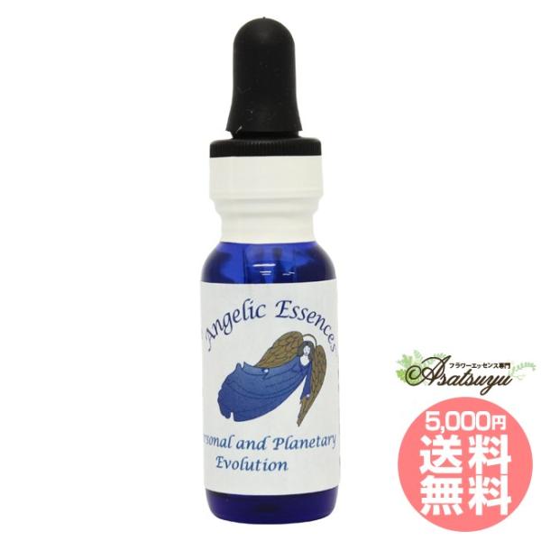 『アセンションのために』■英文This essence will assist whoever is on their path. For moving from being or feeling stuck， to your highes...