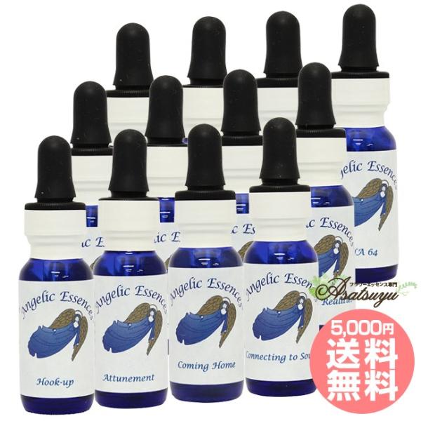 『新しい可能性に向けての成長』■英文The focus of Angelic Essences? has consistently been to affect positive change by supporting our consc...